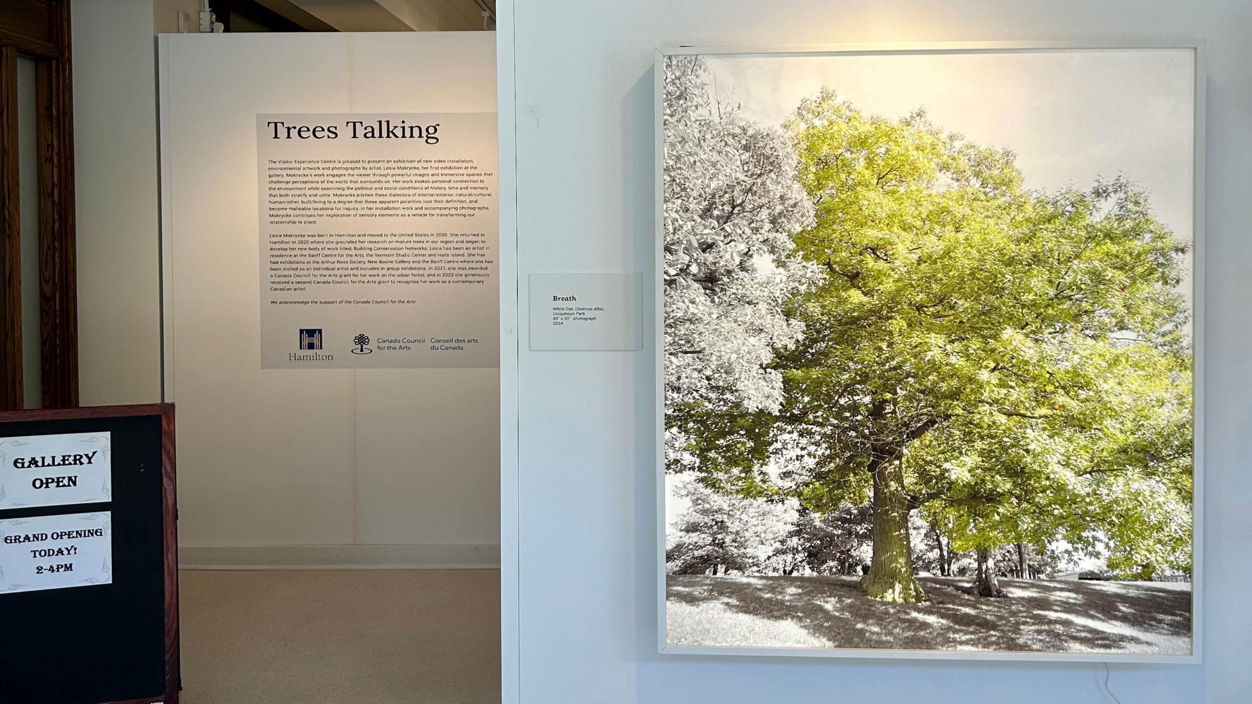 Visitor Experience Centre – Hamilton Civic Museums