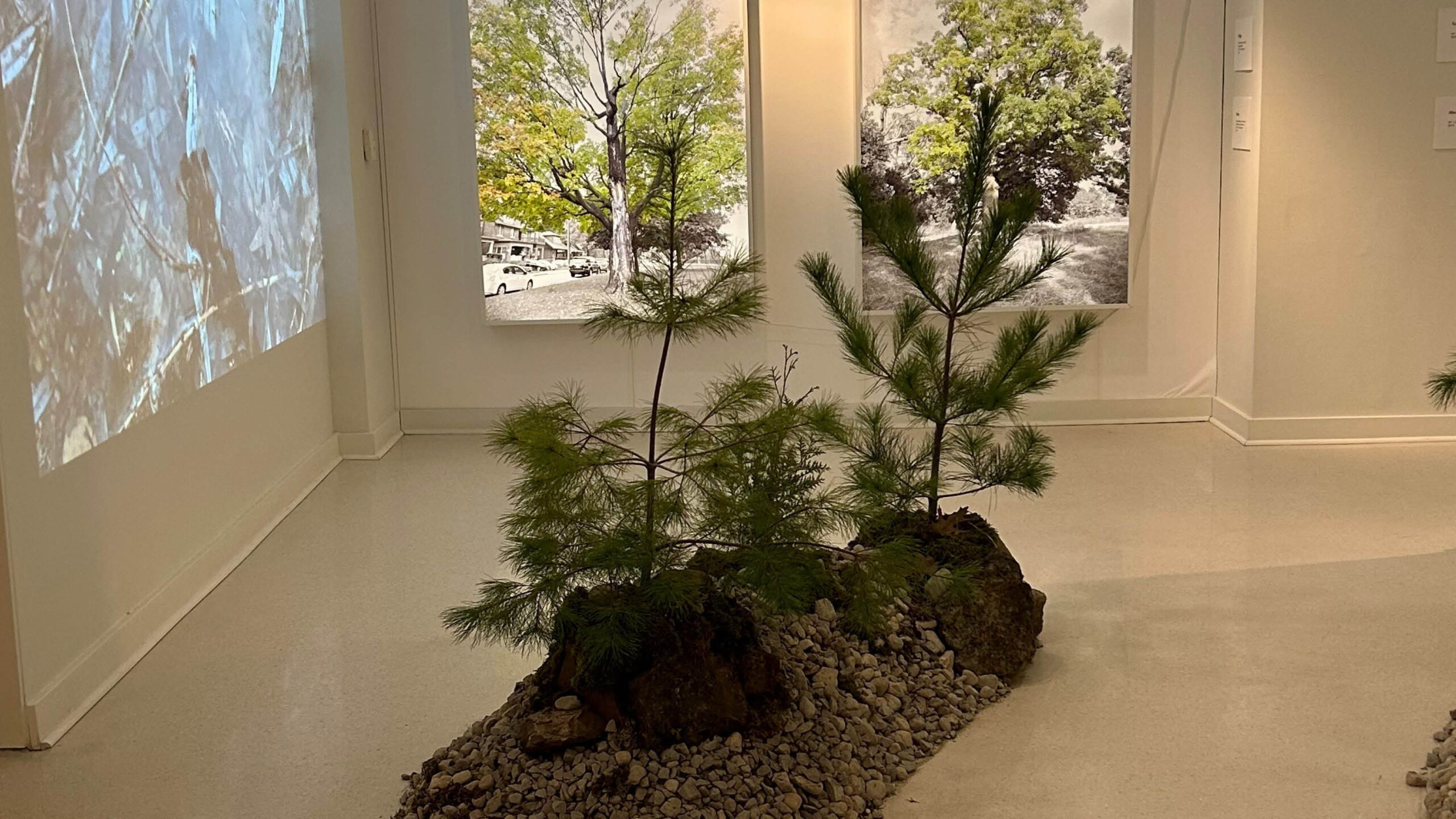 Visitor Experience Centre – Hamilton Civic Museums